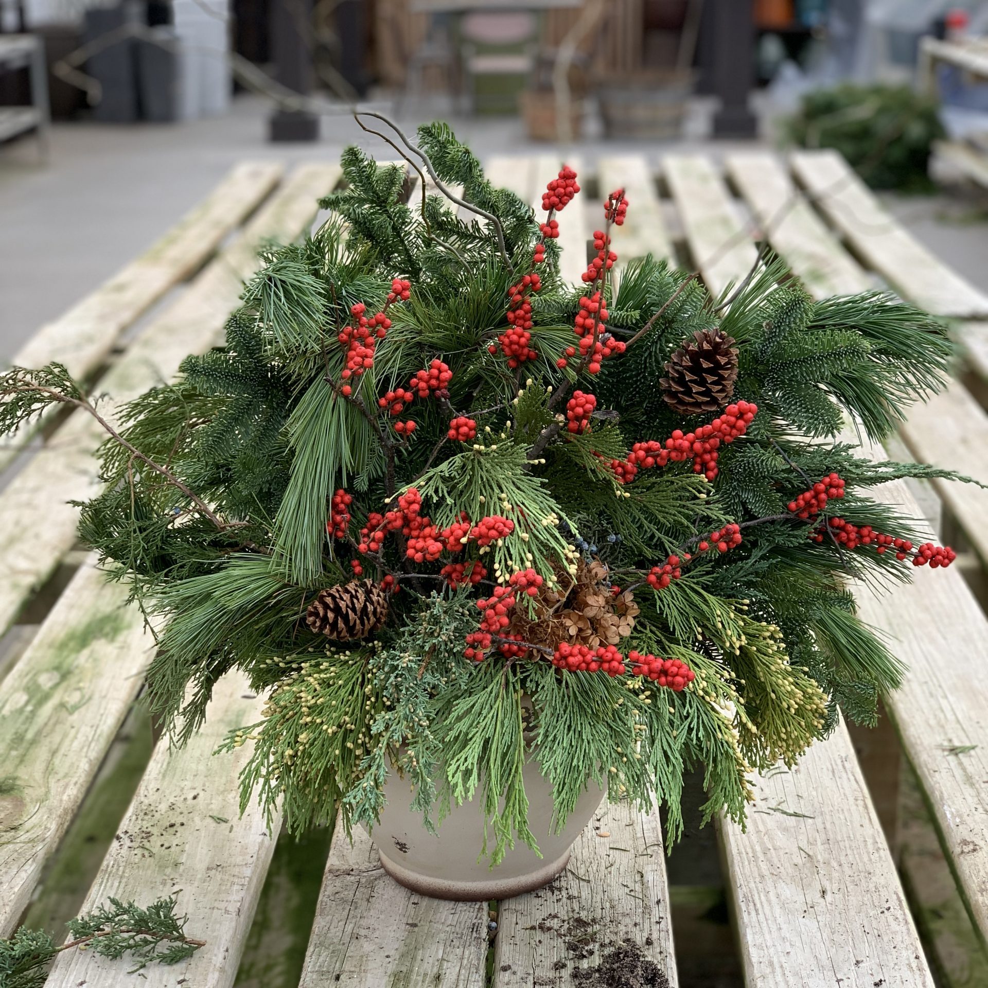 Events | Dammann's Garden Center & Greenhouse