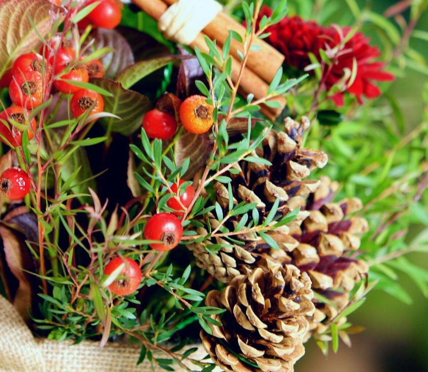 Dammann's Garden Center & Greenhouse